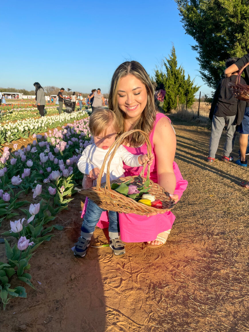 A Guide to Texas Tulips: All You Need to Know To Plan Your Visit ...