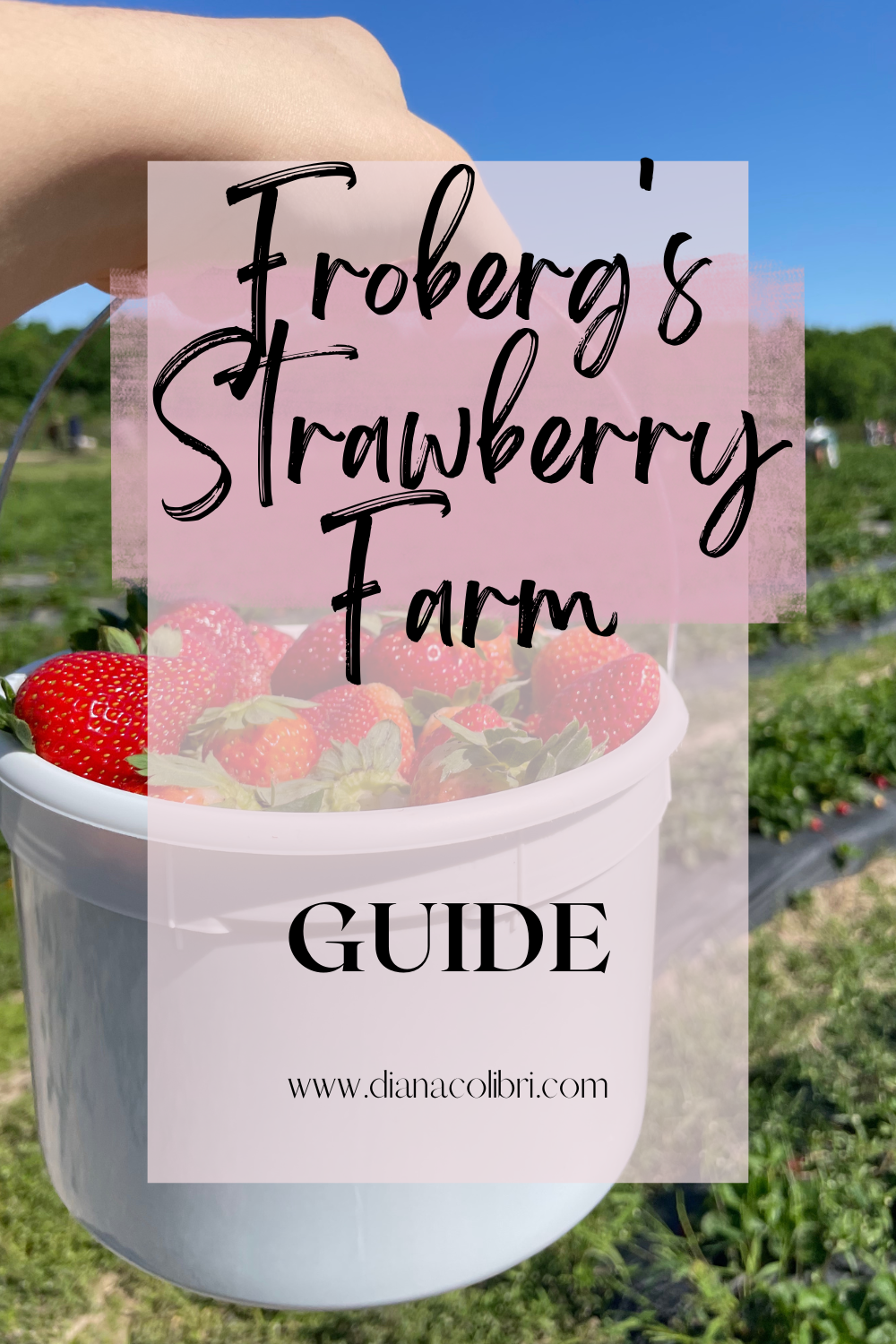 Houston Family Activities: Guide to Froberg’s Farm in Alvin, TX - Diana ...