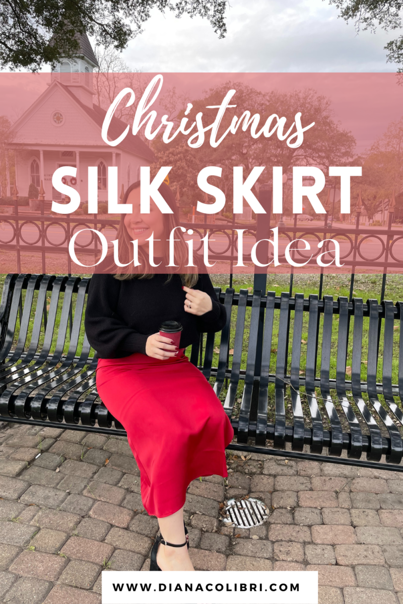 Christmas Silk Skirt Outfit Inspiration - Diana Colibri