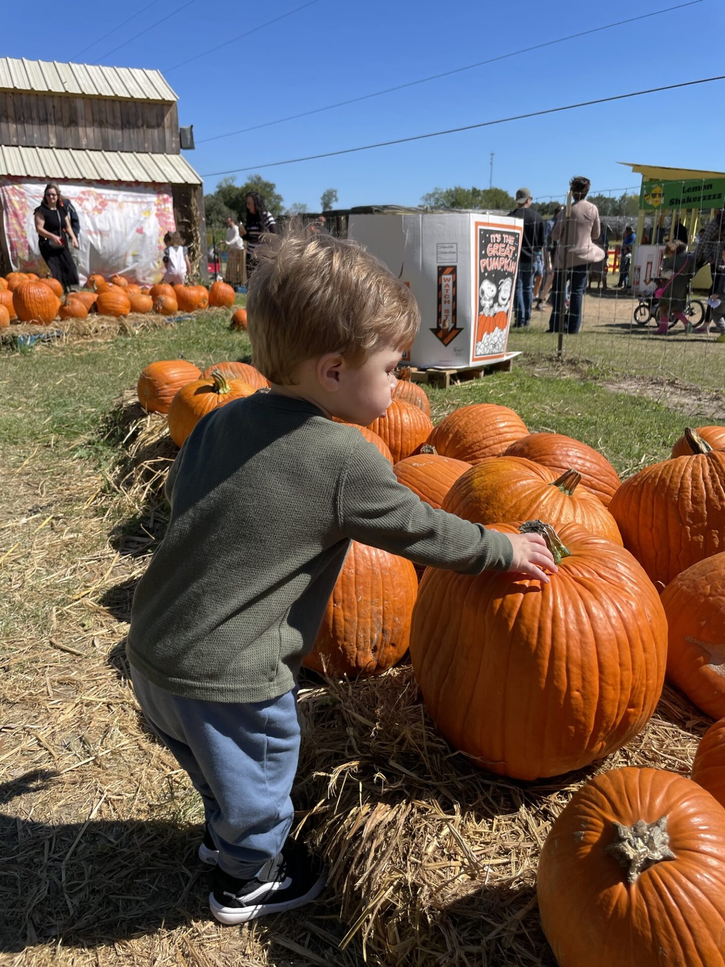 10 Fun Fall Activities That Don’t Involve Halloween - Diana Colibri